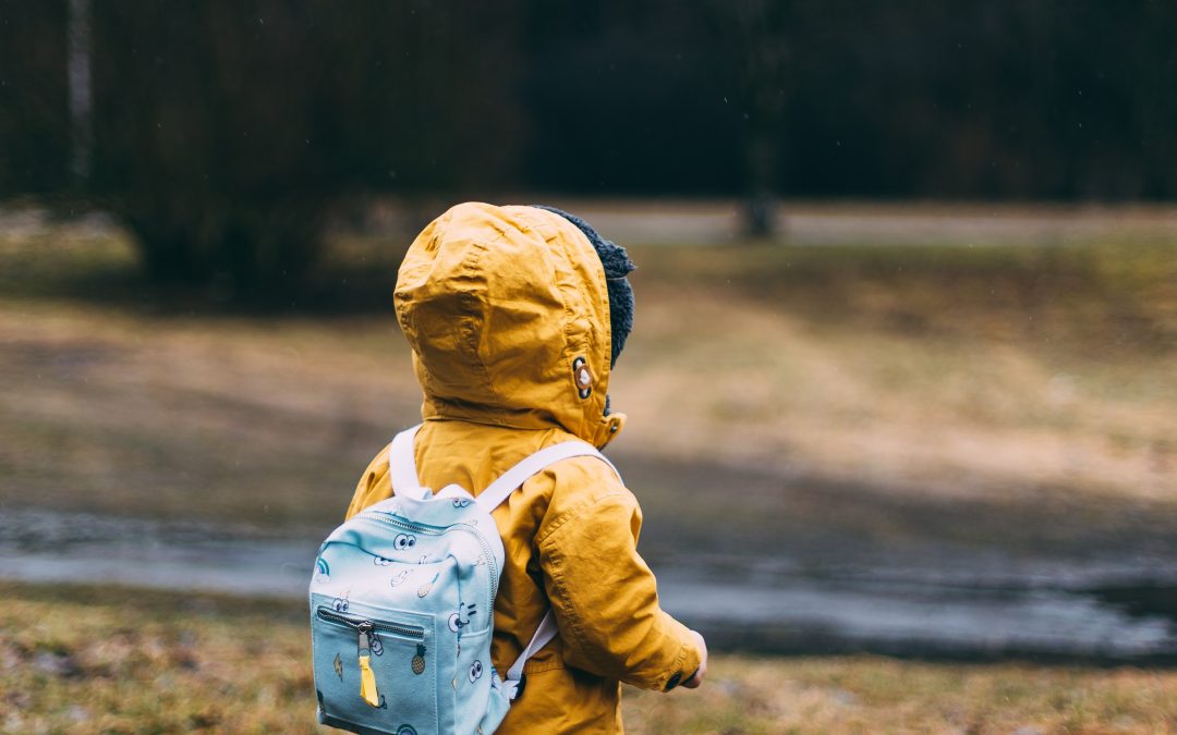 How To Vary Child Maintenance Payments Evolve Family Law